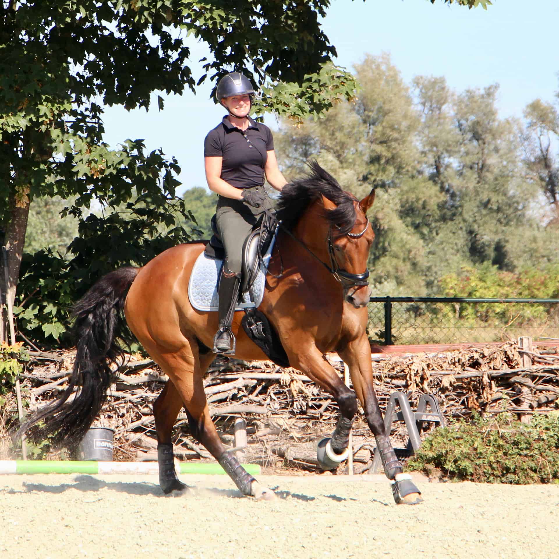 Ruitergevoel - Tips en trainingen voor ruiter en paard